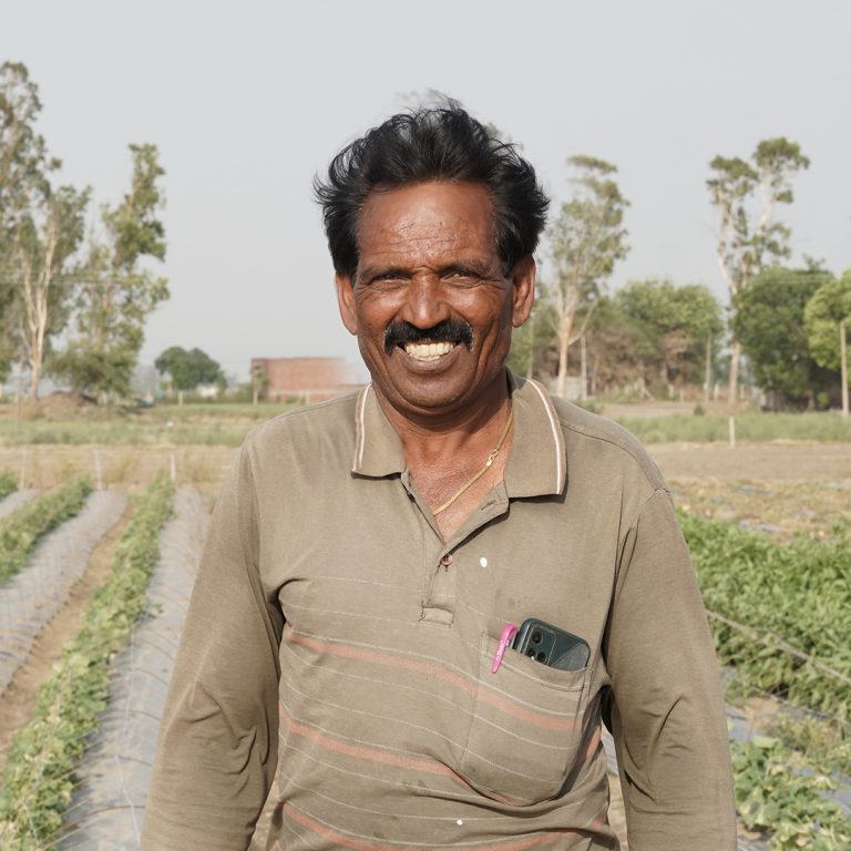 Home - Progressive Farmers