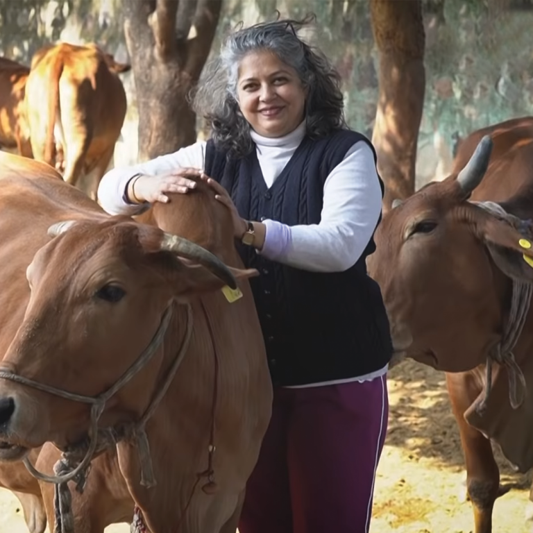Home - Progressive Farmers