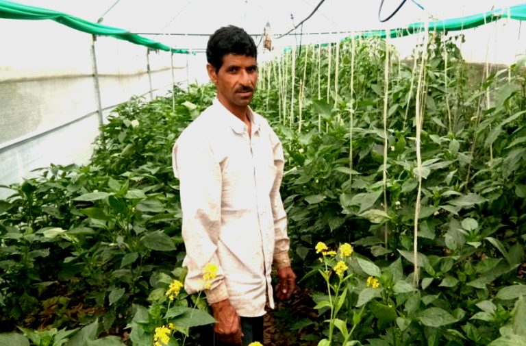 Home - Progressive Farmers