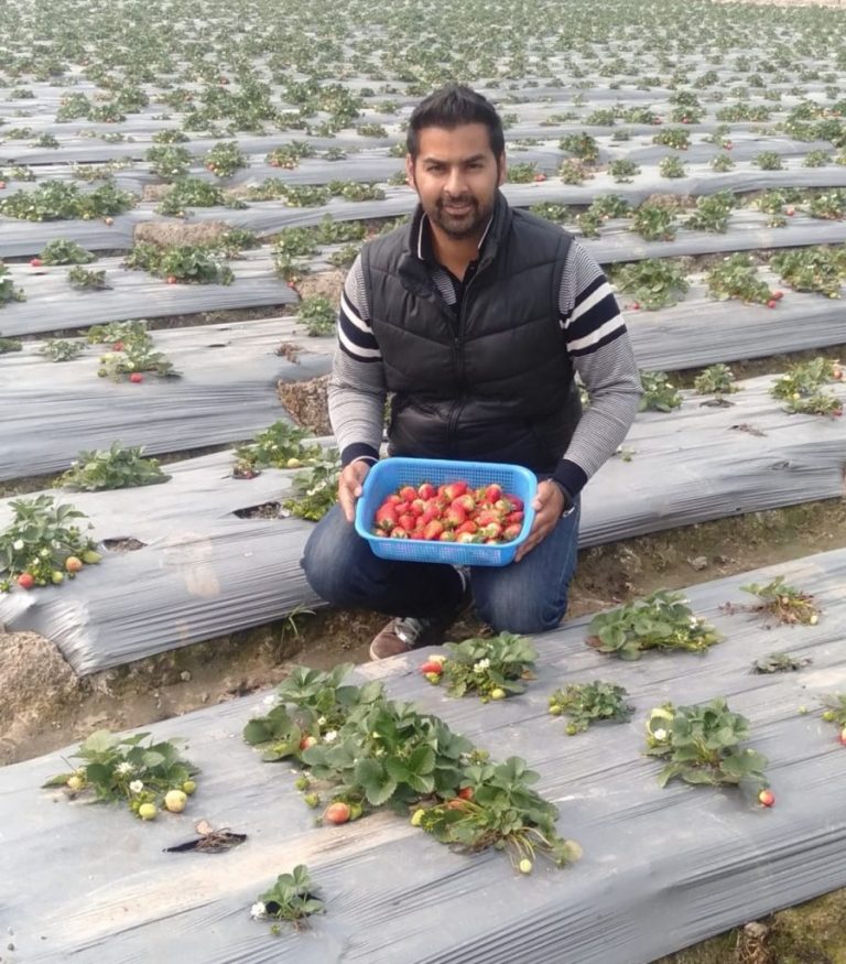 Home - Progressive Farmers